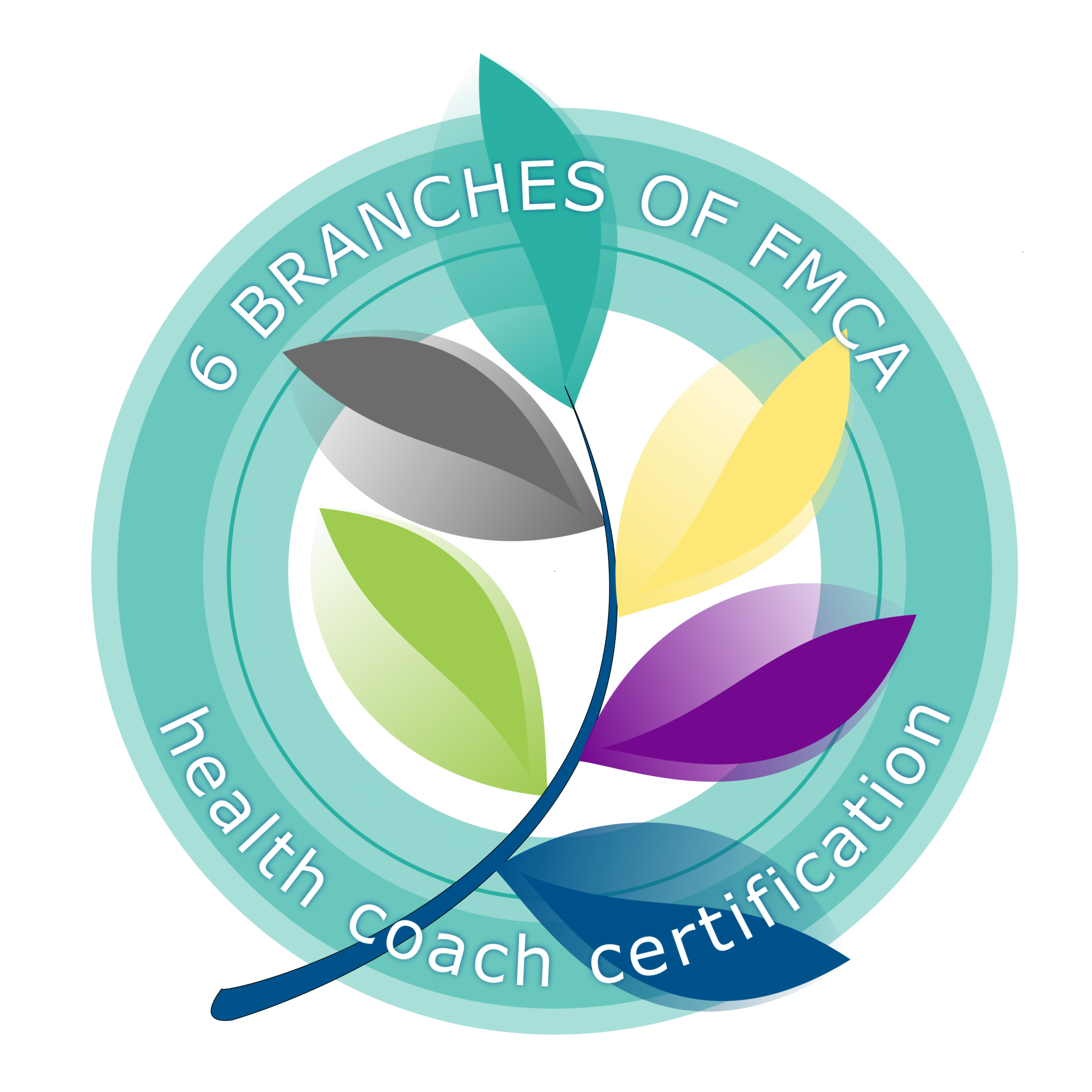 I Found My Community: The 6 Branches of Our Health Coaching Certification Program | Functional ...