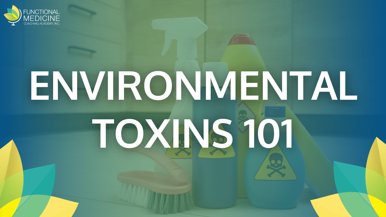 Environmental Toxins 101: What Health Coaches Need To Know | Functional ...